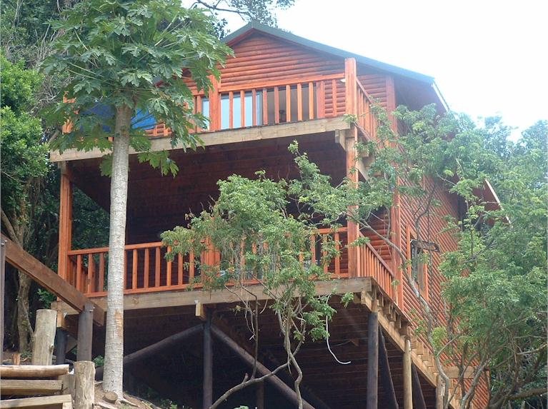 Tree Tops - Peaks Of Africa